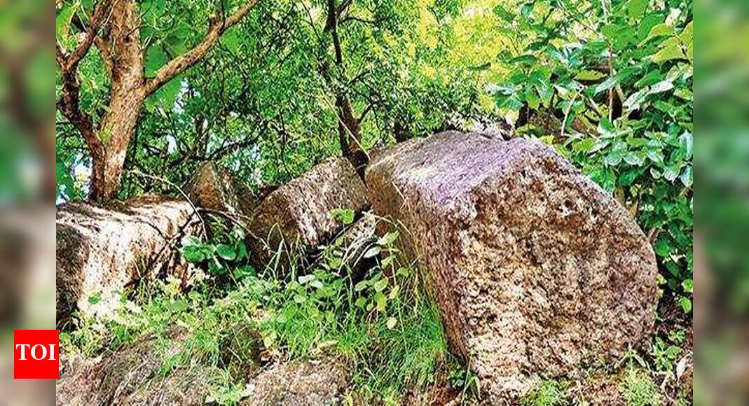 Telangana: 6.5 crore-year-old basalt columns discovered in Adilabad ...