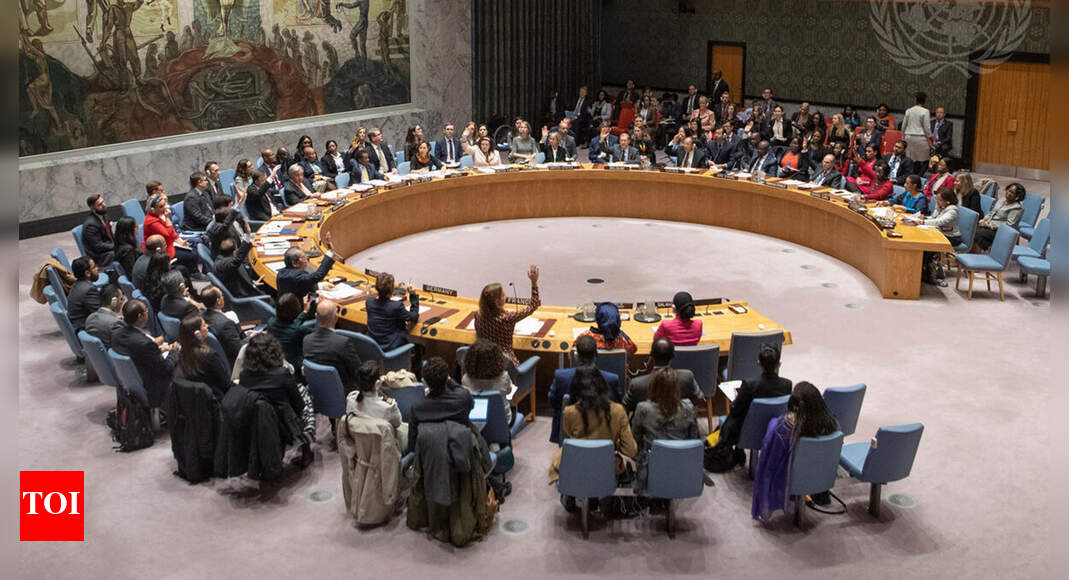 What you need to know about the UN Security Council and why Modi ...