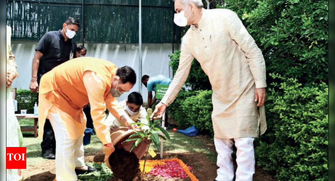 Gujarat governor Acharya Devvrat begins plantation drive | Ahmedabad ...