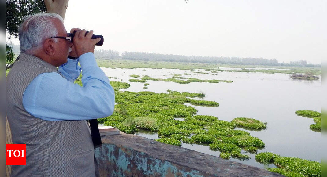Sultanpur, Bhindawas wetlands near Delhi get Ramsar tag | Gurgaon News ...