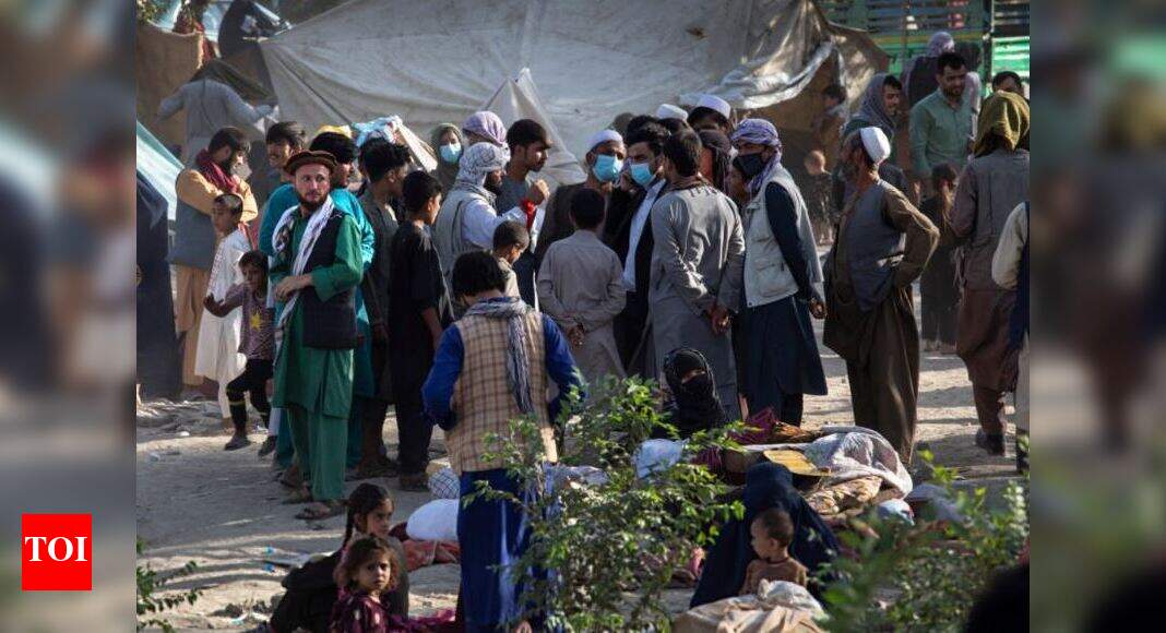 Afghanistan News: 3 more provincial capitals fall to Taliban | World ...