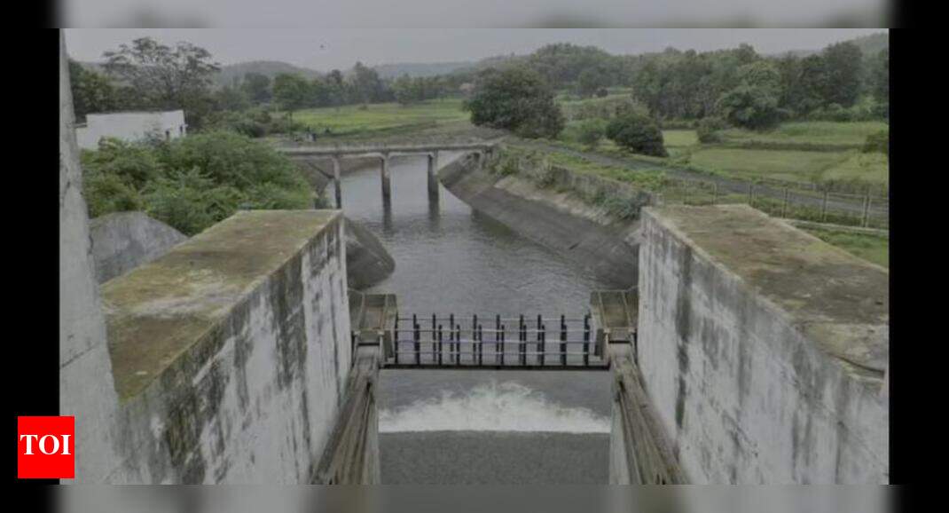 Water released from Kadana dam | Vadodara News - Times of India