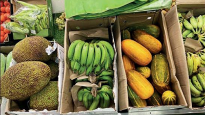 ‘Nadan’ vegetables from Kerala set to conquer European markets | Kochi ...