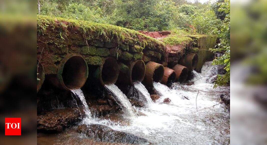 Goa: HC bars heavy traffic over crumbling Sattari bridge | Goa News ...