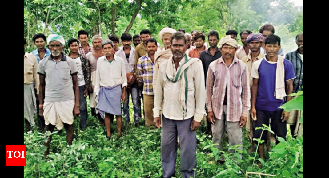 Madhya Pradesh: Tribal village looks for light 75 years after ...