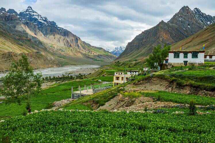 Pin Valley National Park, the Himalayan charmer | Times of India Travel