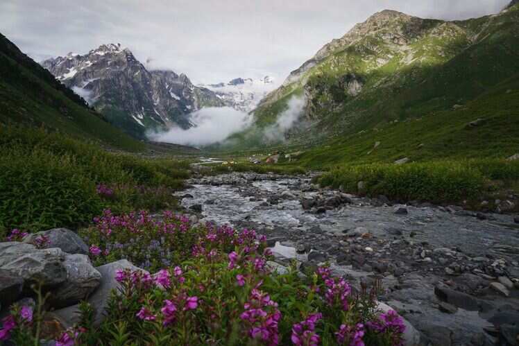 Pin Valley National Park, the Himalayan charmer | Times of India Travel