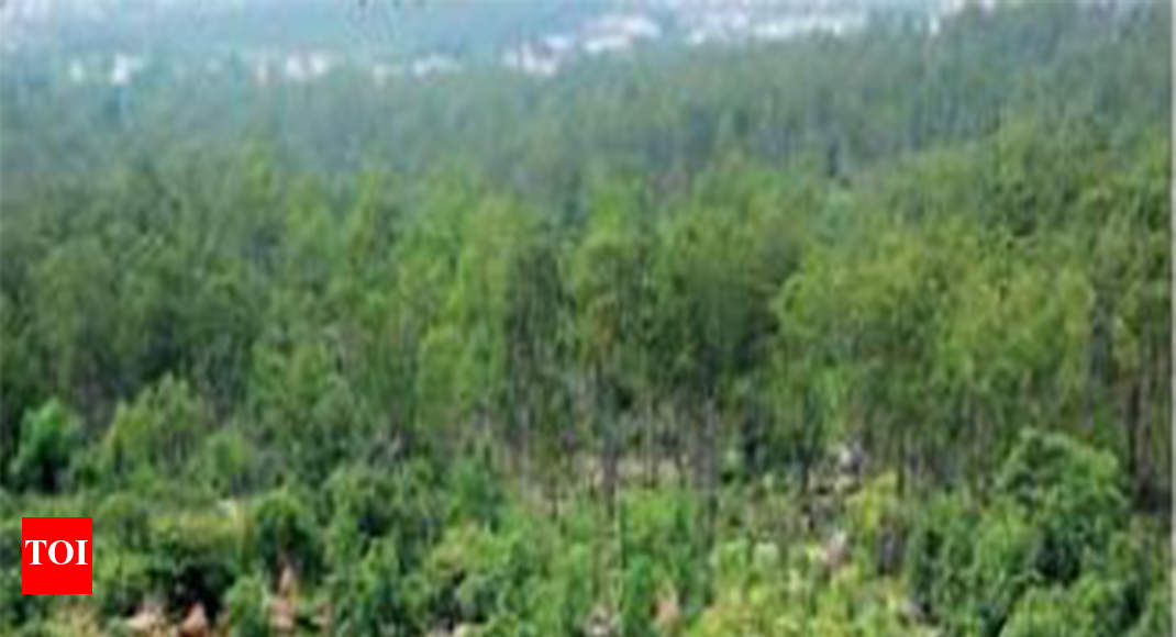 At 83,000 hectares, Karnataka has third highest forest encroachments ...