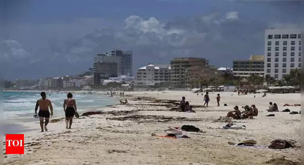 Hurricane Grace makes landfall near Mexico's Tulum temples - Times of India