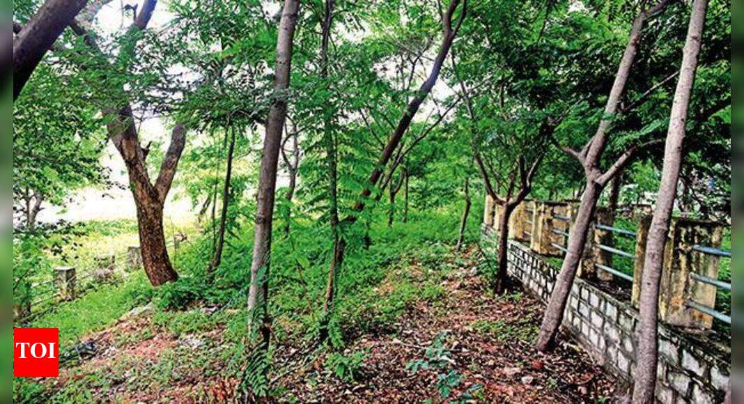 Hyderabad: Eight years on, work on Hyderguda ‘model’ park yet to ...
