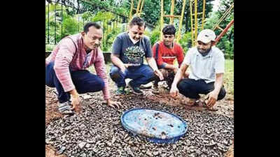 Percolation pits at BMC gardens to save rainwater | Mumbai News - Times ...