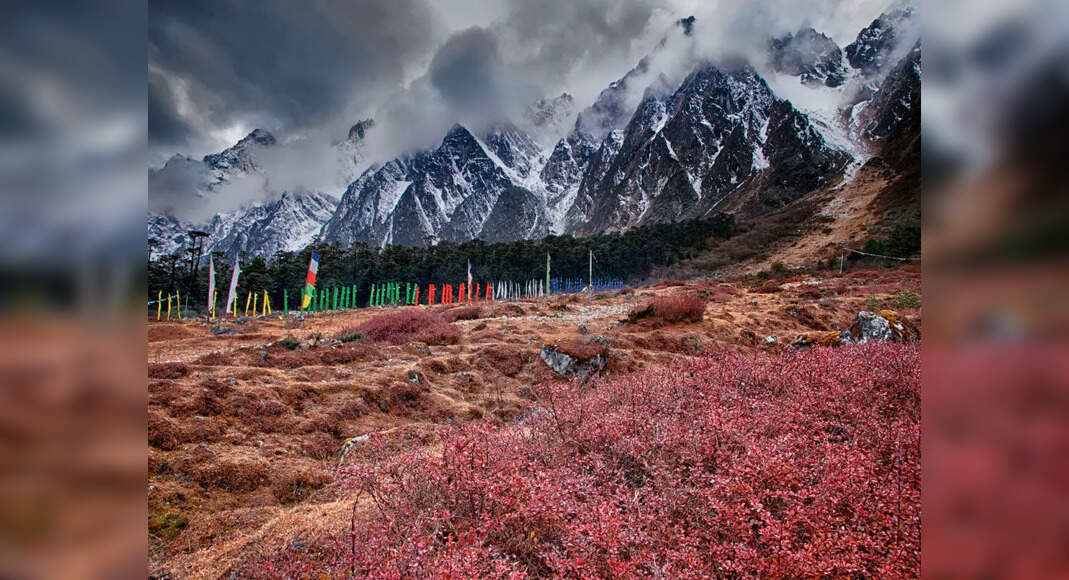 Sikkim opens Yumthang Valley for tourists | TimesTravel