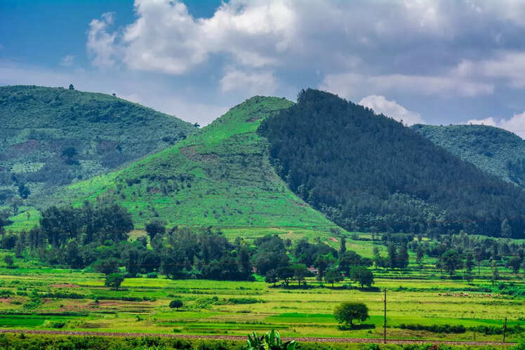 Scenic hill stations of South India that are as good as the Himalayas ...