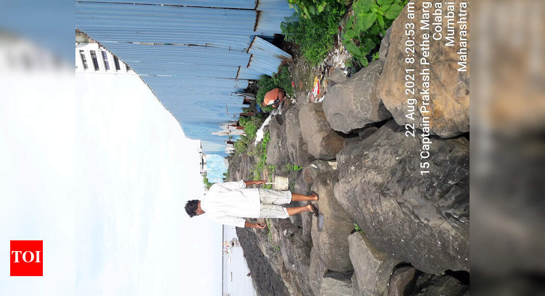 OPEN DEFECATION-FREE OR FREE OPEN DEFECATION - The Times of India