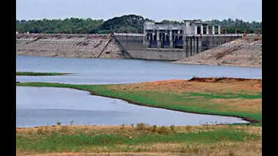 Kerala: Soon, water from Walayar dam to be used for drinking | Kochi ...