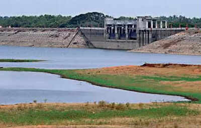 Kerala: Soon, water from Walayar dam to be used for drinking | Kochi ...