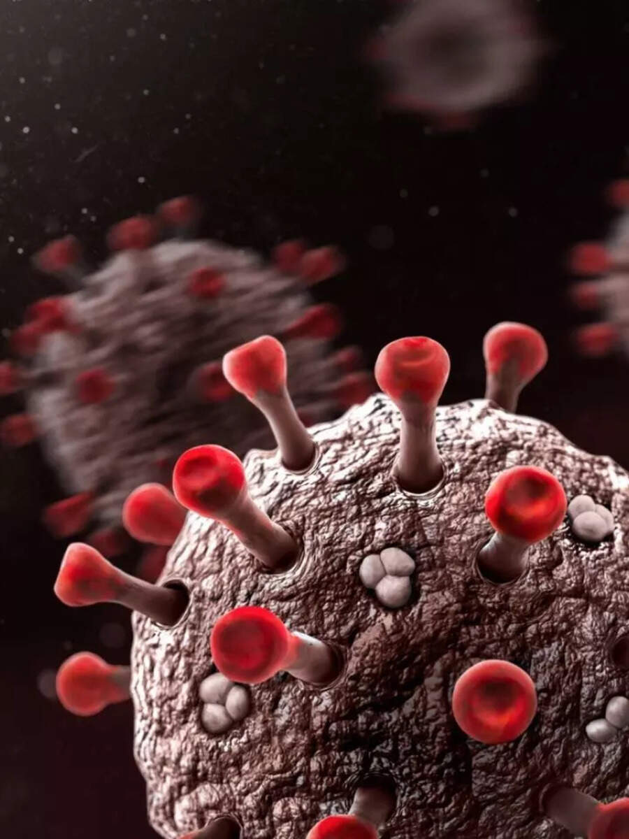 COVID-19 vs. Coronavirus vs. SARs-COV-2 | Times of India