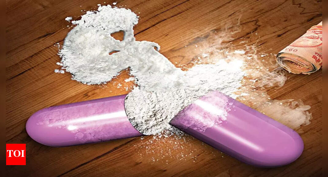 Kerala: CCTV visuals put excise in a spot in MDMA case | Kochi News ...