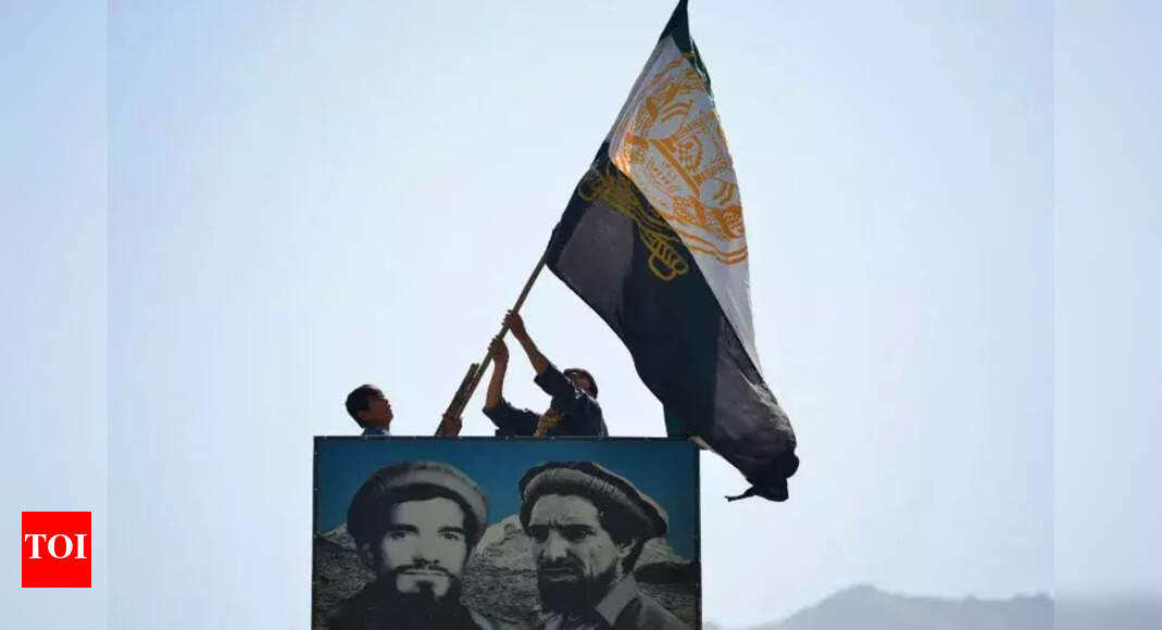 Anti-Taliban resistance spreading in Afghanistan: Massoud brother ...