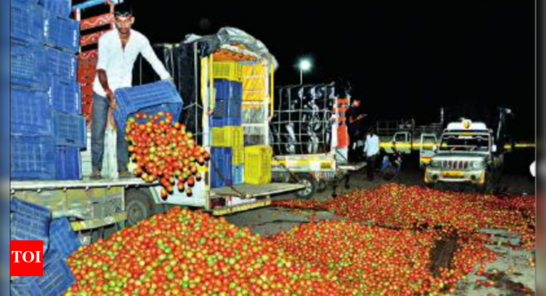 Tomato prices crash, Nashik farmers dump produce on road | Nashik News ...