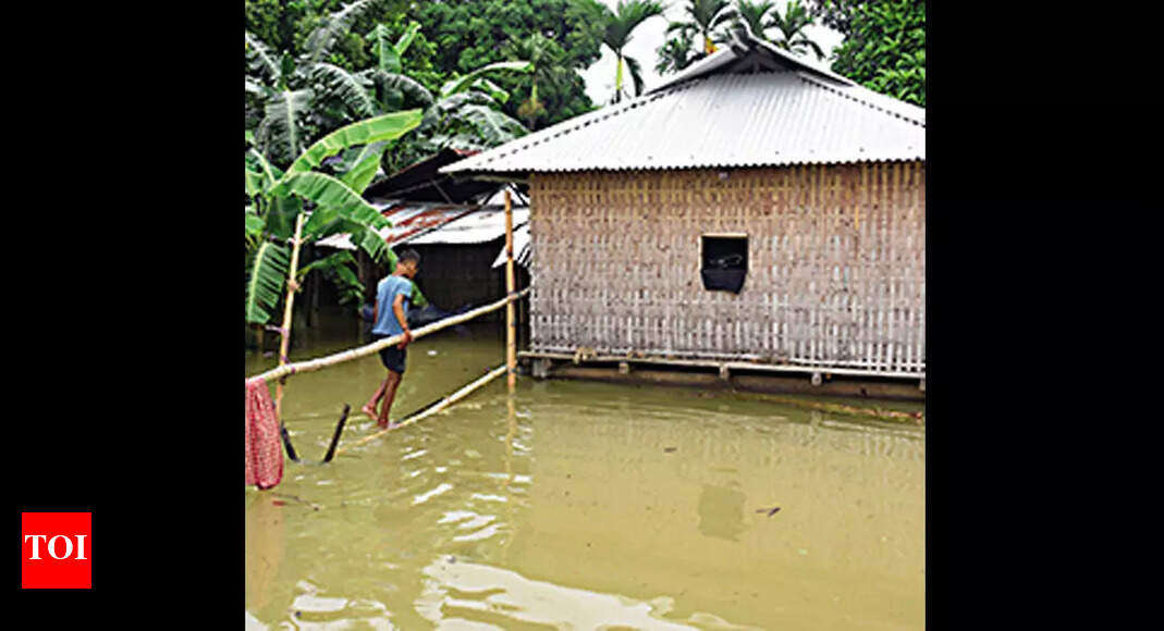 Assam: Fresh wave of floods hits Majuli, Kaziranga | Guwahati News ...