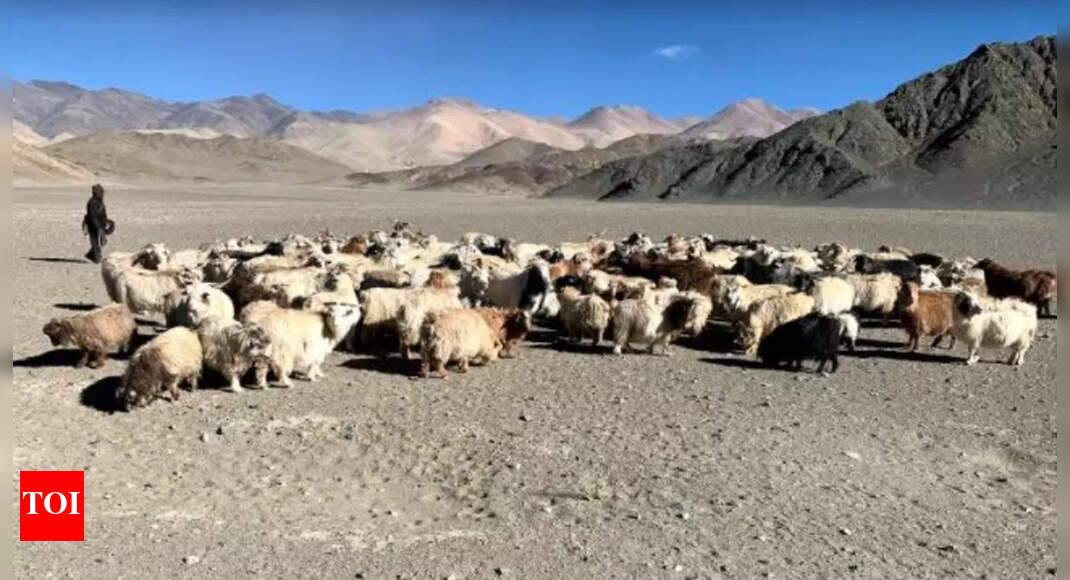 Showstopper Ladakh solar project hits land hurdle - Times of India
