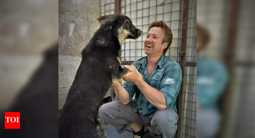 Pen Farthing lands at Heathrow with 170 cats and dogs from Afghanistan ...