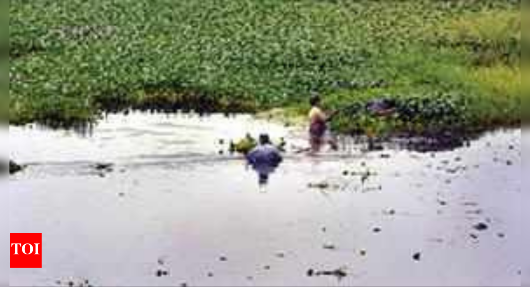 Andhra Pradesh govt lays focus on retaining wall along Budameru rivulet ...