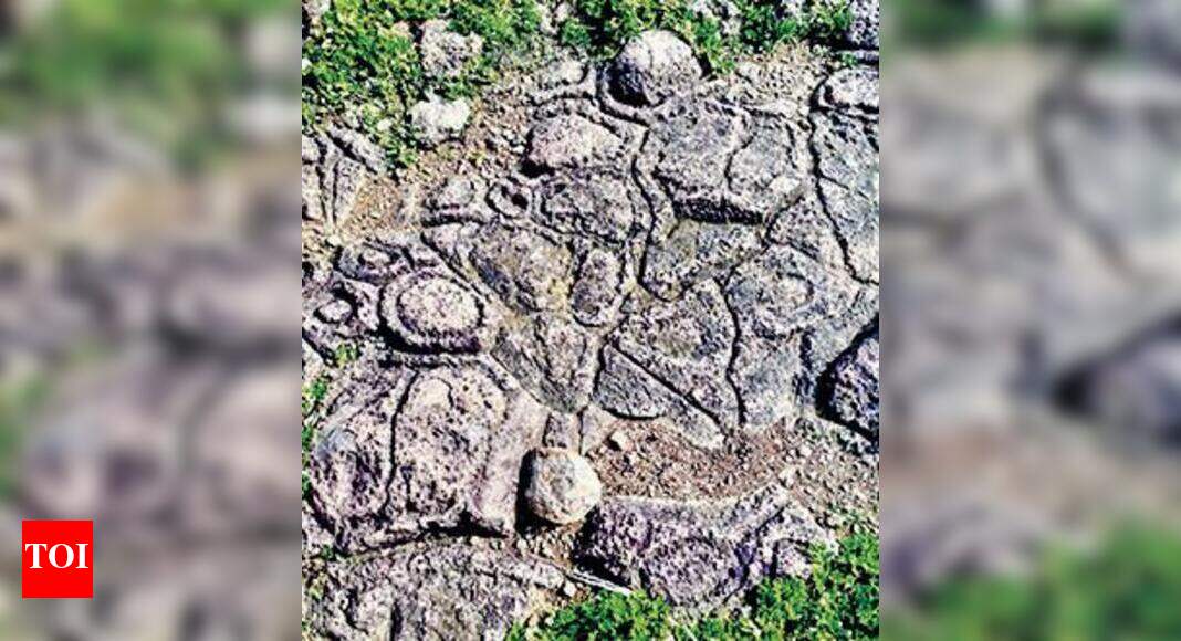 Volcanic sheet rock with shapes found in Adilabad | Hyderabad News ...