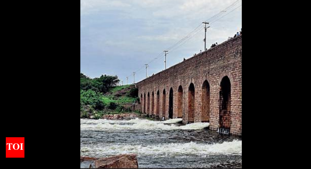 Hyderabad: Two gates lifted at Himayatsagar | Hyderabad News - Times of ...