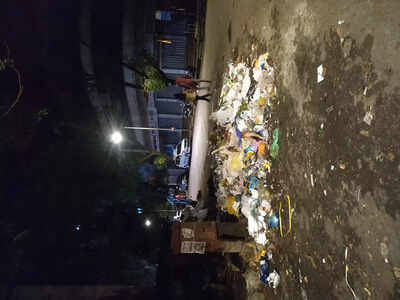 Open garbage disposal and vulnerable animals - Times of India