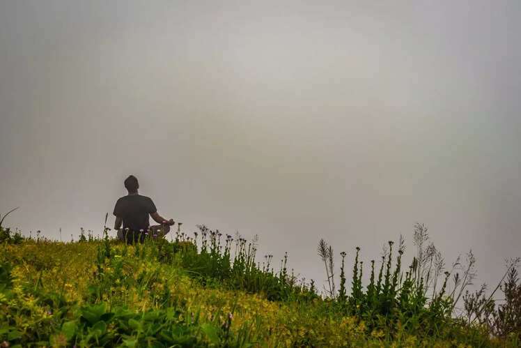 These destinations in India are every nature lover’s dream! | Times of ...