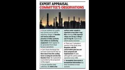 MoEF committee returns Vedanta’s expansion plan | Goa News - Times of India