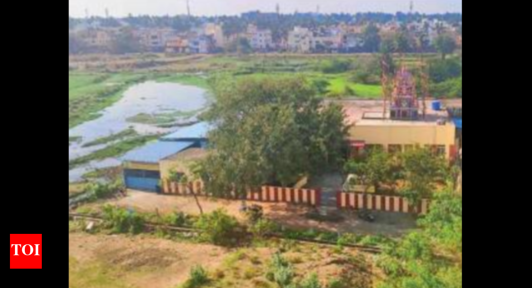 Chennai: Squatters stay put on Sembakkam lakebed | Chennai News - Times ...
