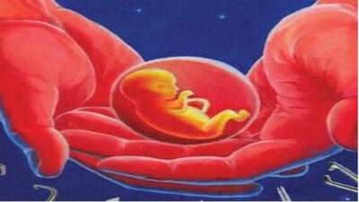 Aborted female fetus found in Ahmedabad | Ahmedabad News - Times of India