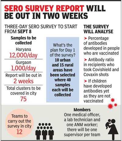 Sero survey micro plan: 25 areas to be covered today | Gurgaon News ...