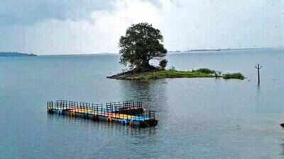 Water level in Ukai reservoir rising | Surat News - Times of India