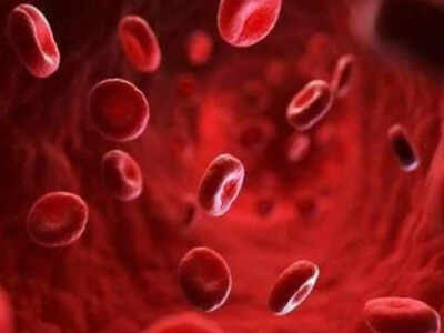 Avoid panicking over drop in platelet count in dengue: Pune experts ...