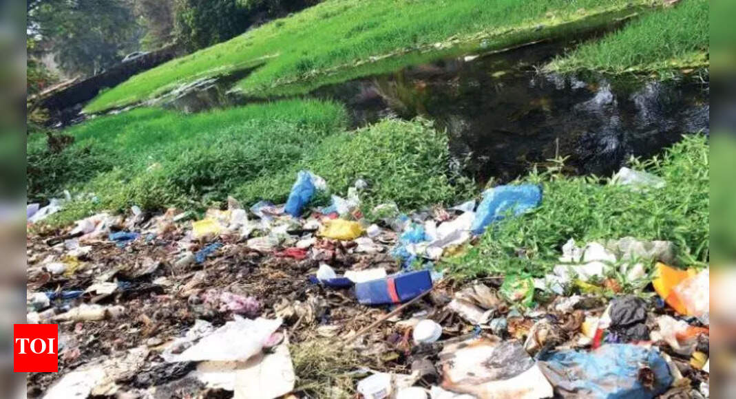 Yet another task force to PULL St Inez creek out of the gutter | Goa ...