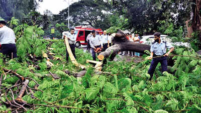 Heavy rainfall starts in Nashik on Saturday night | Nashik News - Times of India