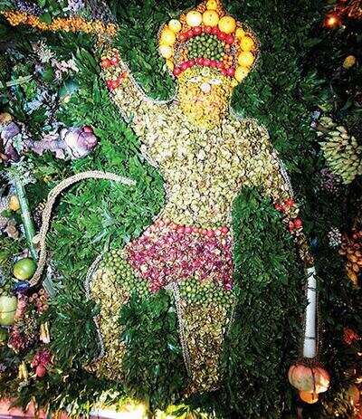 Matoli: An informal lesson in indigenous ecology | Goa News - Times of ...