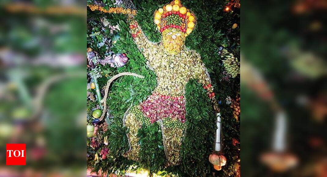 Matoli: An informal lesson in indigenous ecology | Goa News - Times of ...