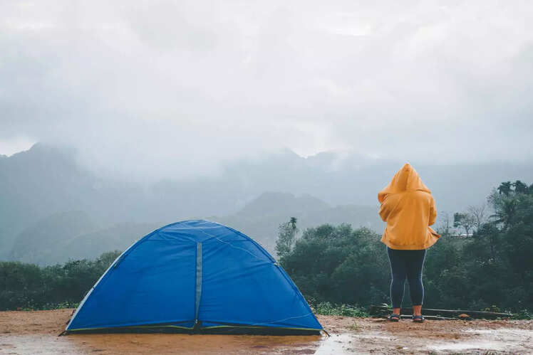 India’s best jungle camping sites that you must visit once | Times of ...
