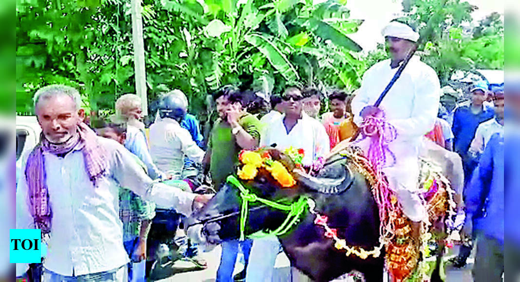 Bihar panchayat polls: Mukhiya candidate promises bike, parlour ...