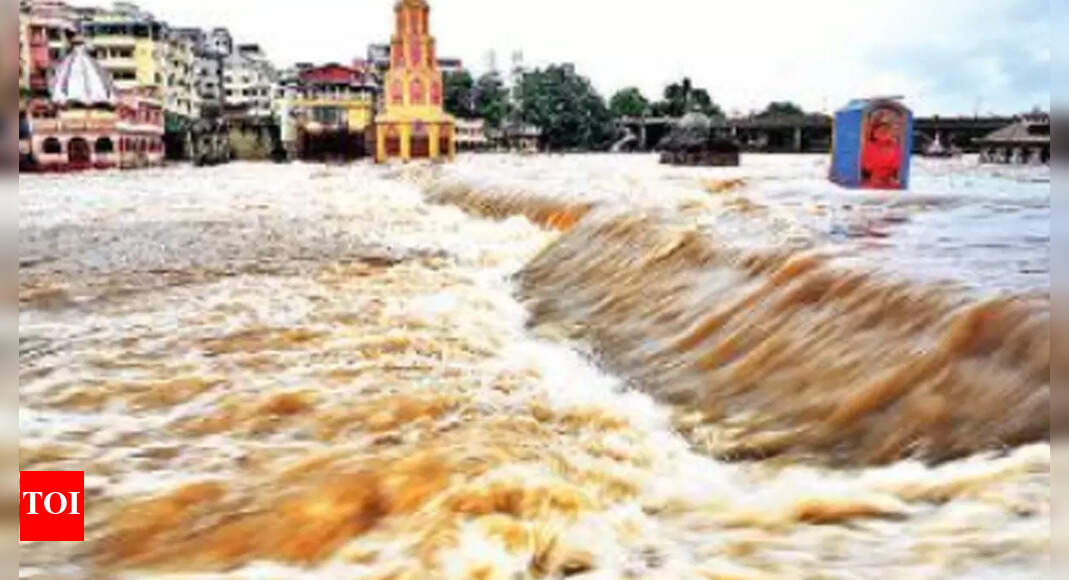 Godavari: Alert along Godavari bank as water level rises at Nashik's ...