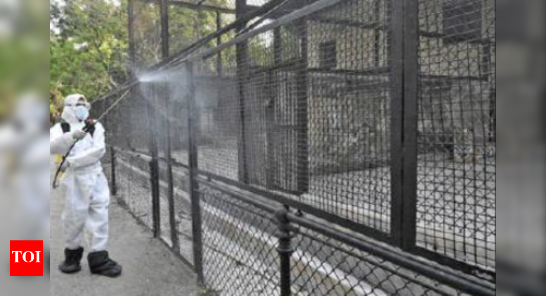 West Bengal: Zoos to reopen today after 5 months | Kolkata News - Times ...
