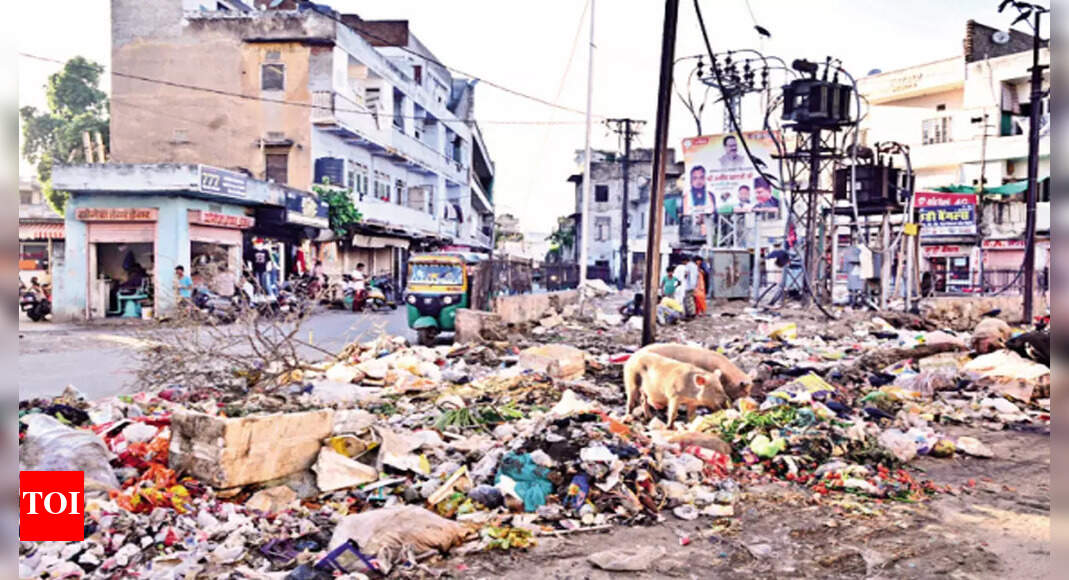 1,000 tons of trash litters Jaipur roads as garbage lifters stir over ...
