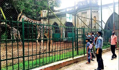 West Bengal: Alipore zoo gets 1,200 visitors on first day of reopening ...