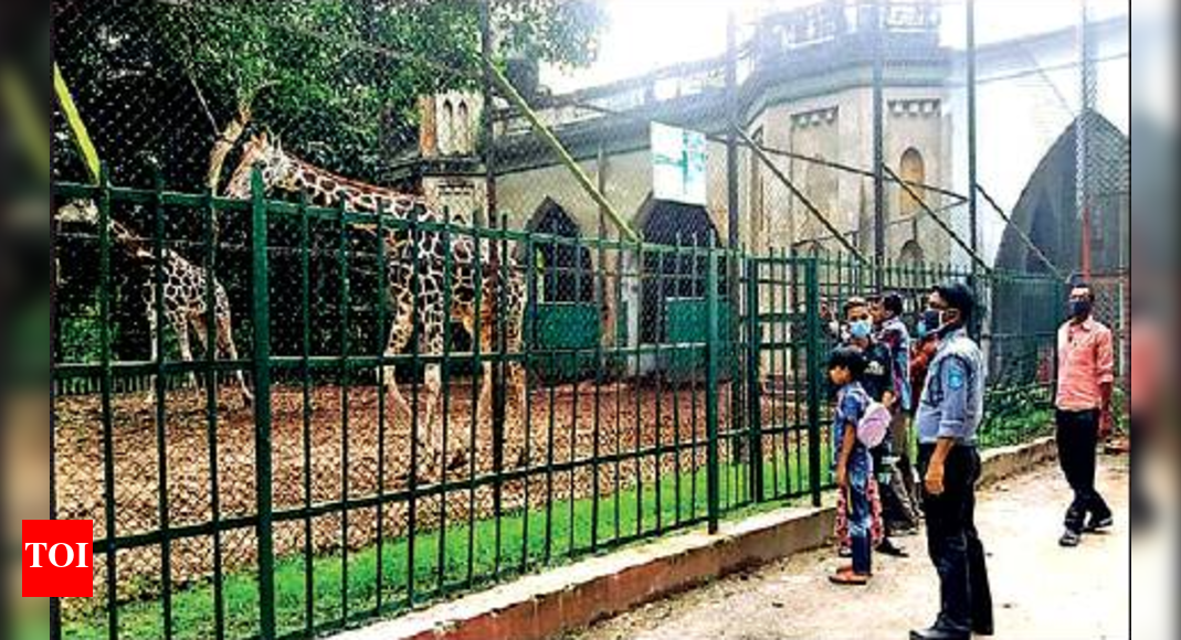 West Bengal: Alipore zoo gets 1,200 visitors on first day of reopening ...