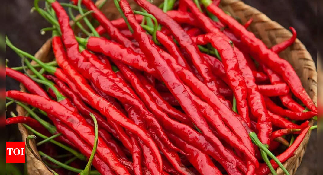 Manipur: Manipur’s Sirarakhong chilli, Tamenglong orange get GI tag ...